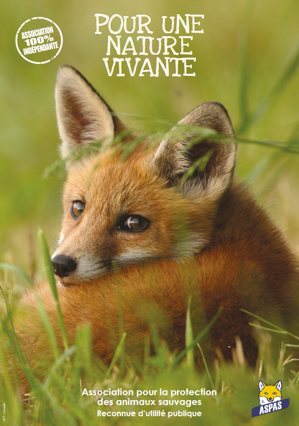 1000 Watts – Don de 10 euros à l’Association pour la protection des ...